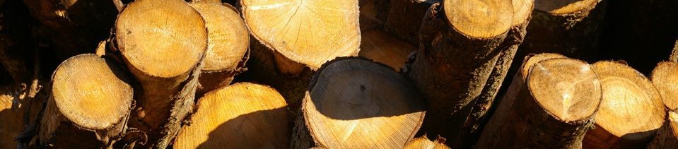 Home – Hagedorn AG